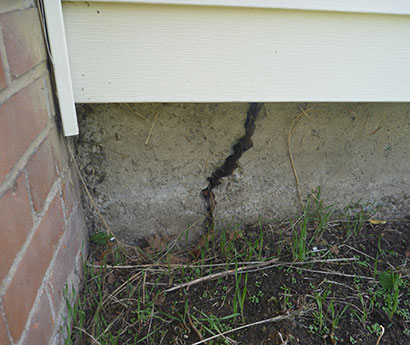 Integrated Pest Management | All County Pest Control